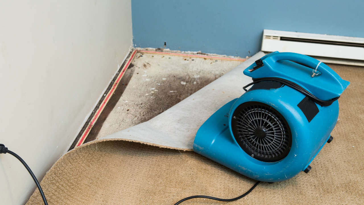 Why Is Drying Equipment So Important? - Bee Dry Restoration of Cleveland